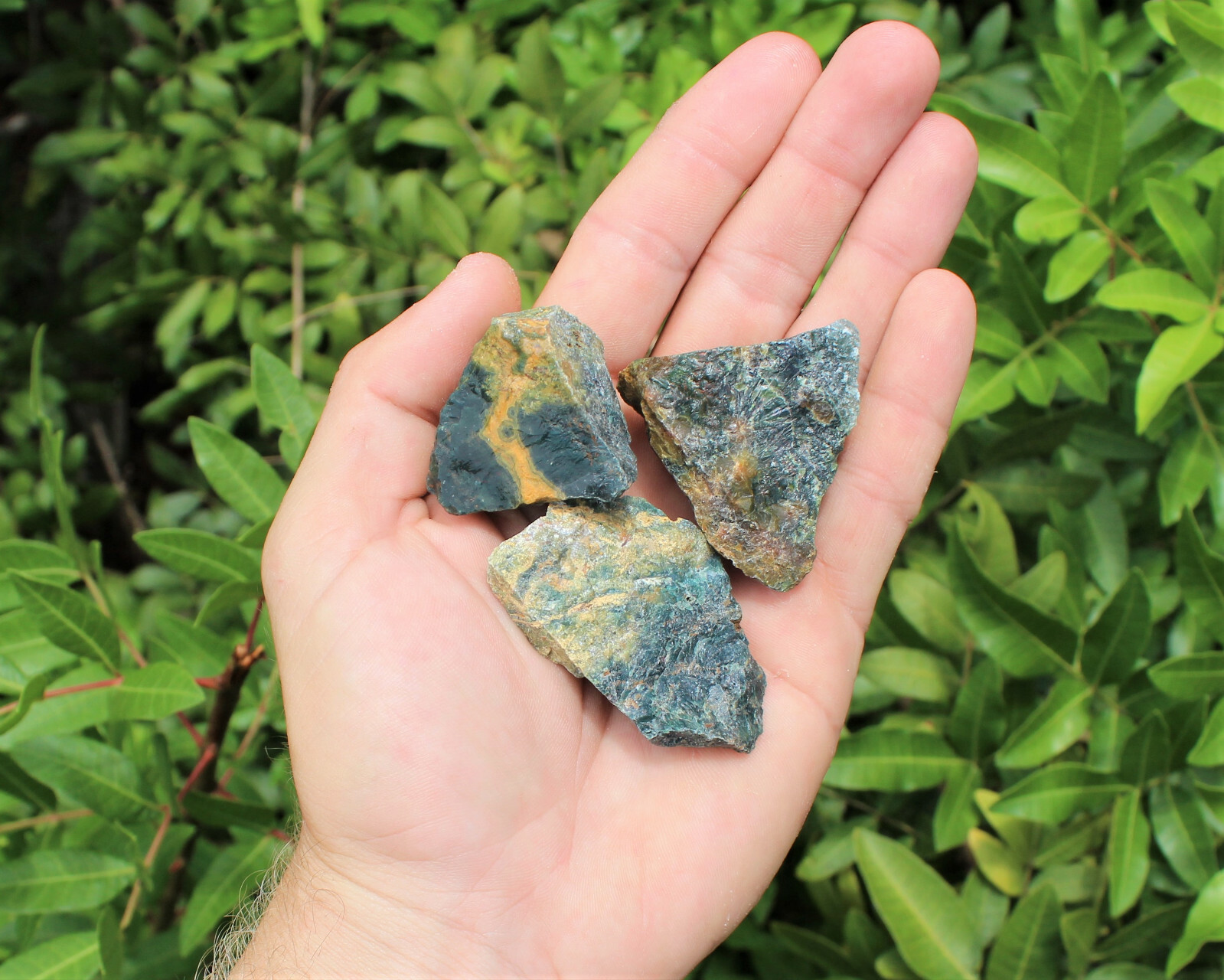 2 lb Bulk Wholesale Lot Natural Rough Sea Jasper Crystals (Raw Sea ...