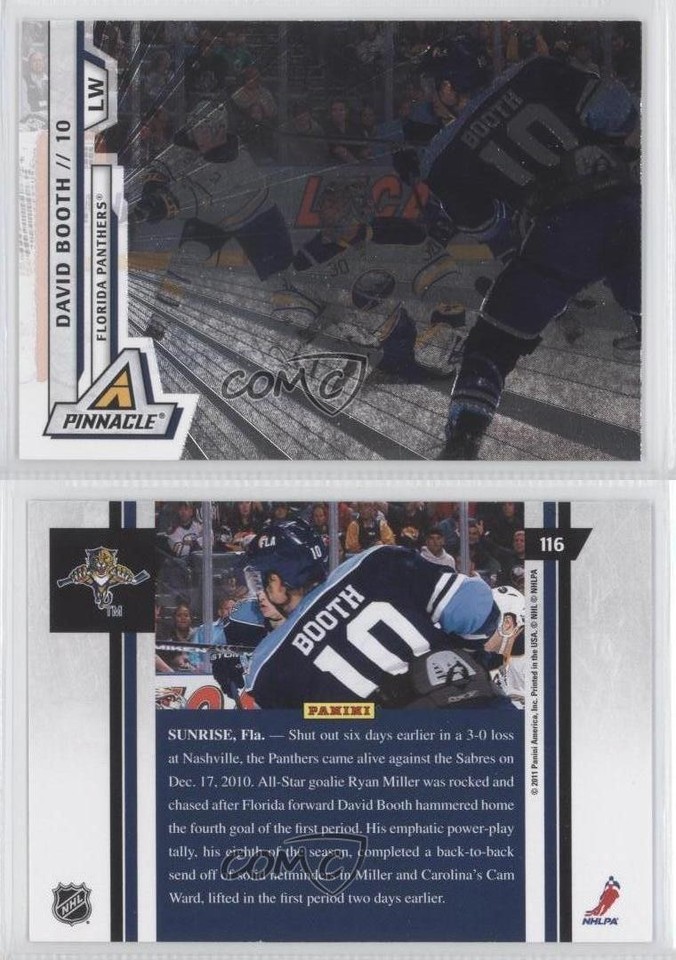 2010-11 Panini Pinnacle Rink Collection David Booth #116 0a1 | eBay UK