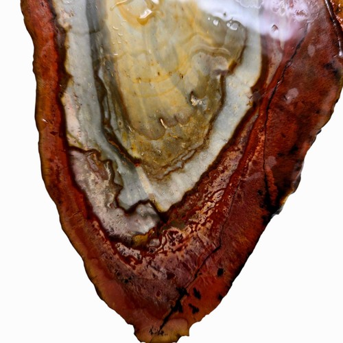 Polychrome Jasper Slab Lapidary Stone Slice Cut Rock | eBay