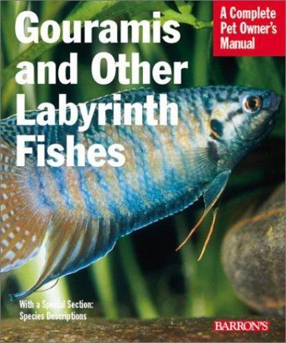 Gouramis and Other Labyrinth Fishes : Everything about Natural History ...