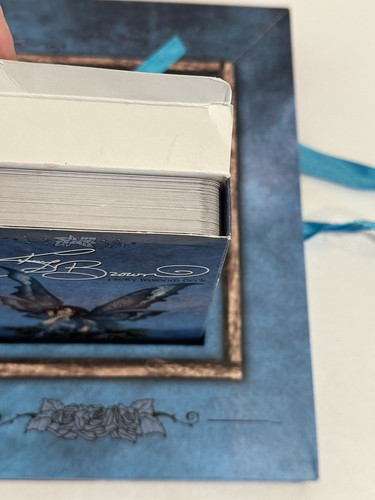 THE AMY BROWN FAERY WISDOM ORACLE DIVINATION DECK & BOOK BOXED SET 2005 ...