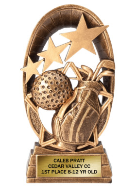 GOLF GOLD RESIN AWARD 6.5" TROPHY FIRST WINNER PERSONALIZED MVP MIP 2ND ...