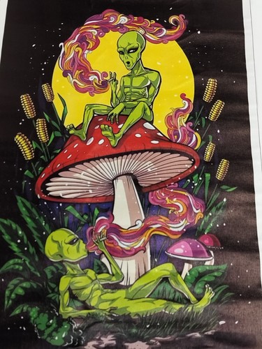 Aliens Magic Mushrooms Psychedelic Hippie Stoner Painting Poster 12X18 ...
