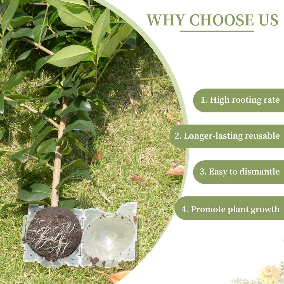 Transparent Plant Rooting High Pressure Propagation Ball Root Grow ...