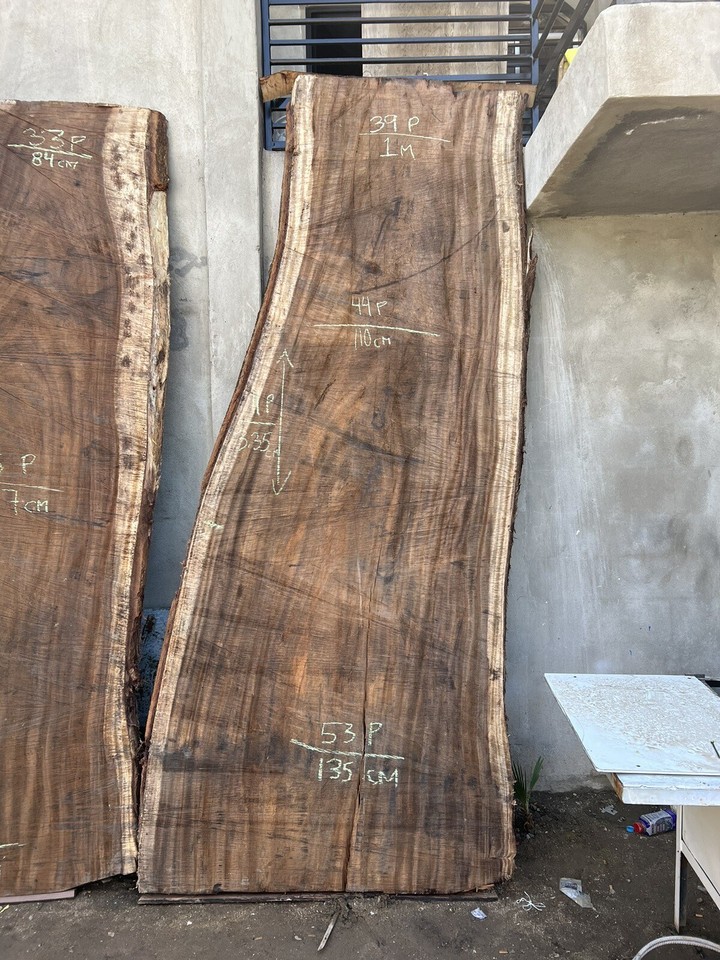 Live Edge Parota Wood Table Top | eBay