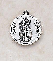 Patron Saint David Sterling Medal Size .75 in H comes with 24 in Chain ...