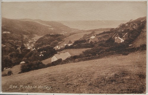 Ancienne Carte Postale Ilfracombe Lee Fuchsia Valley | eBay