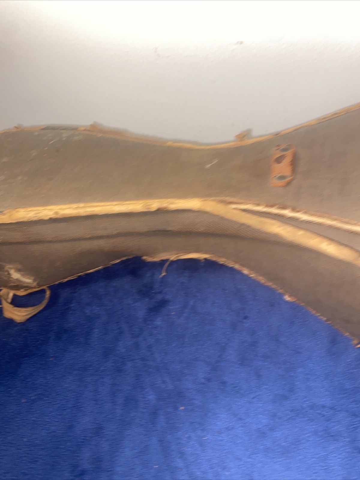 Antique Humpback Mandolin With Original Case | eBay