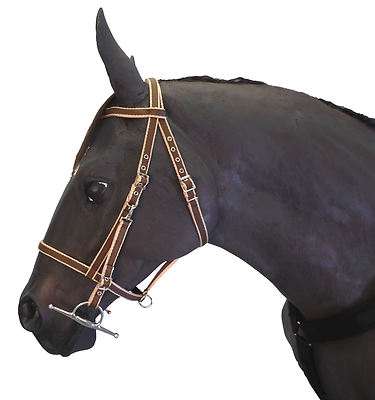 Official Libby's Endurance Bridle Small Pony Pony Cob Full Extra Full Horse | eBay