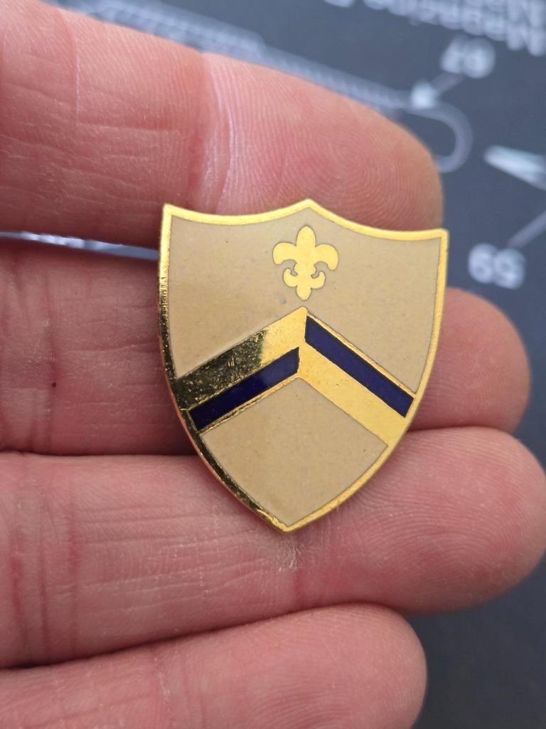 WWII 107th Quartermaster Regiment DUI DI Crest pin | eBay