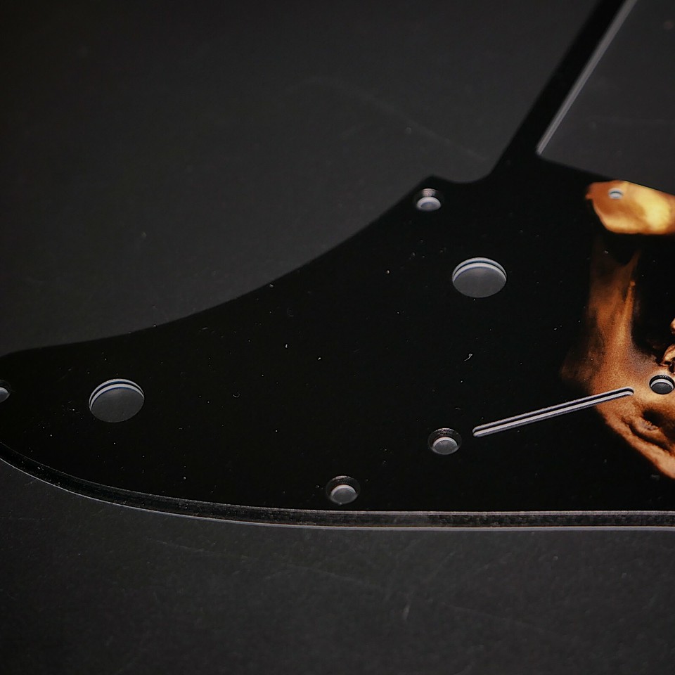 Ibanez RG Series Pickguard • Gold Human Skull • Custom Pickguard ...