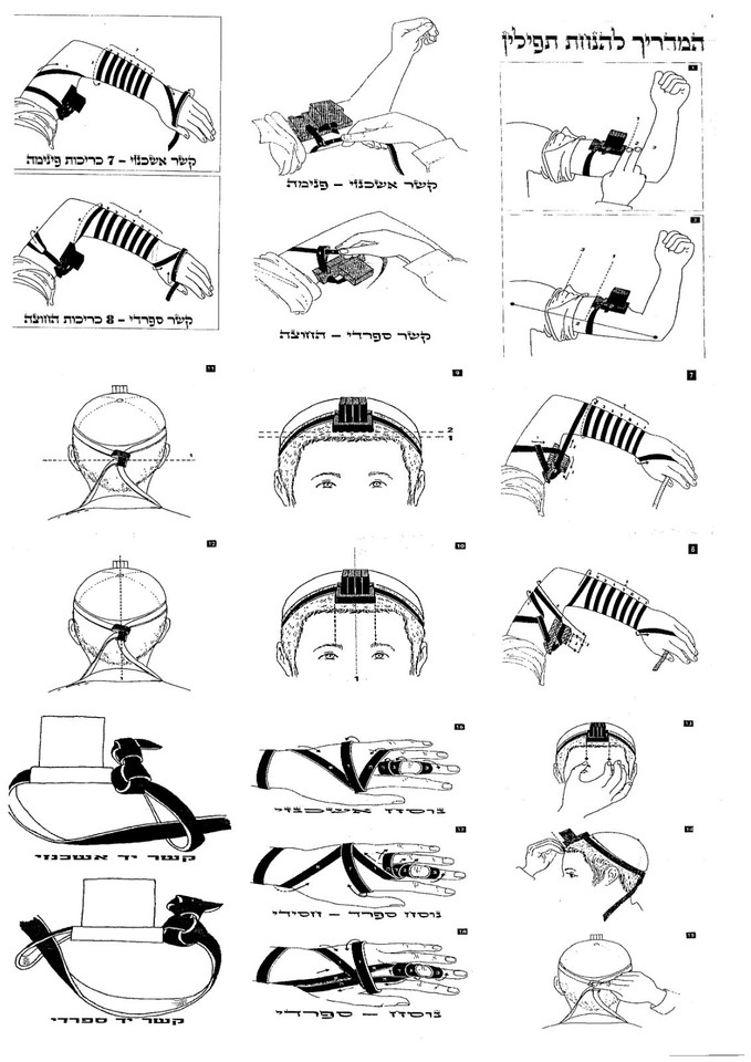 High Quality Tefillin For RIGHT Handed Sephardic Jewish Kosher Tefilin ...