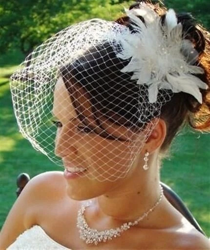 Feather Birdcage Veil