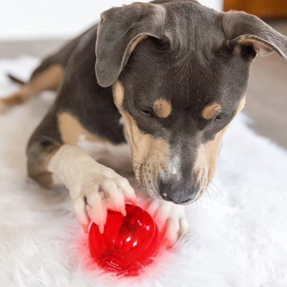 Pet Qwerks Blinky Babble Ball, Flashing Interactive Dog Toy, 2.25" D ...