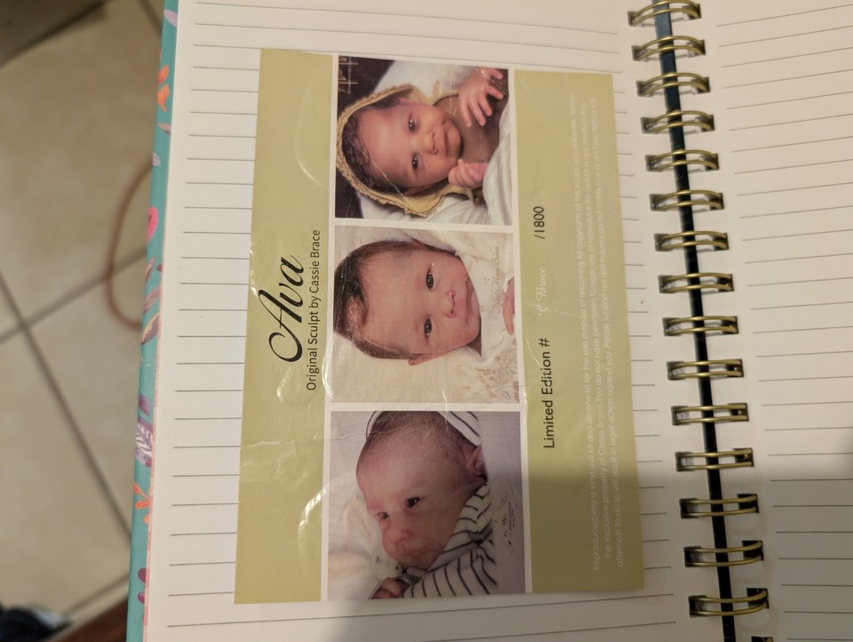 Reborn Ava Kit | eBay