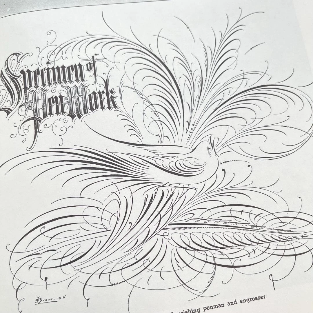 Calligraphy Bird Flourish