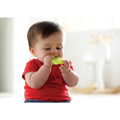 MUNCHKIN teether 0+ Fun Ice 01132402 | eBay
