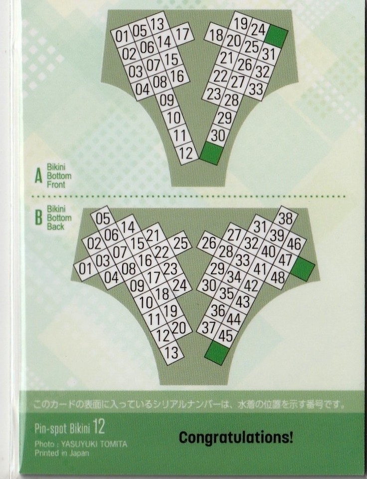 Ramu 2024 32/33 Pinspo Bikini Card 12 Front Super Trading | eBay