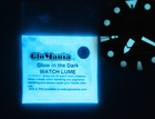 GLOW IN THE DARK Pigment Powder WATCH LUME Powder Coating Green or Blue ...
