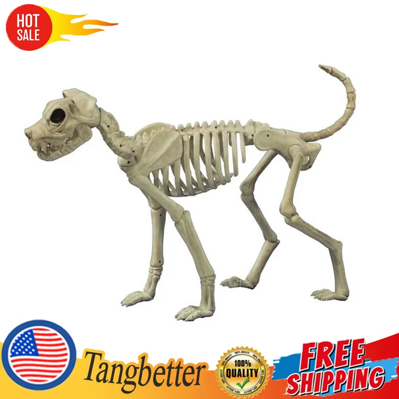 Dog Skeleton Yard Decoration