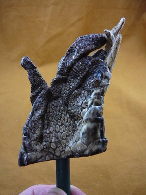 (g627-13) LARGE 4" Gator FOOT Back Scratcher PAW ALLIGATOR ...