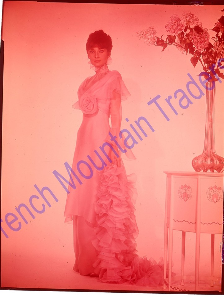Audrey Hepburn 4x5" Color Photo Transparency, Red Cast 2110 | eBay