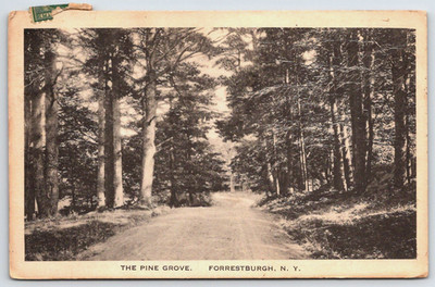 Antique Postcard- The Pine Grove - Forestburgh - Sullivan County - New ...