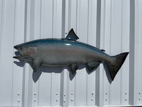 38" King Salmon Half Mount Fish Replica - Quick Production | eBay