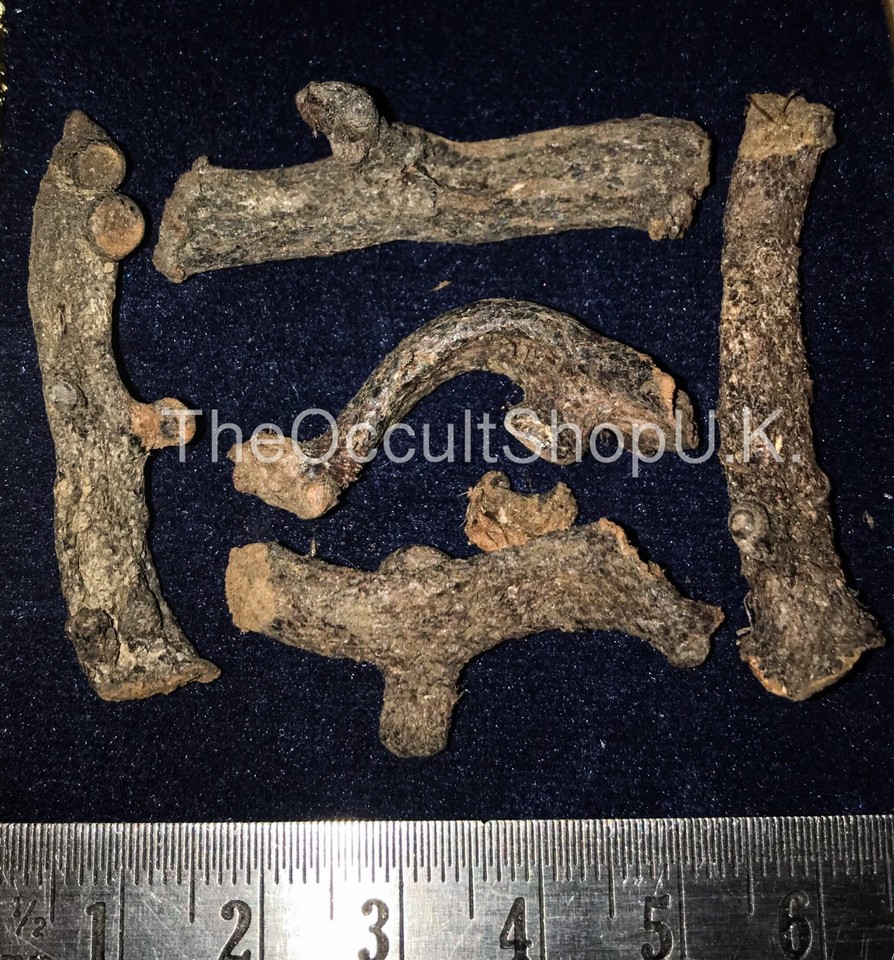 Paras Root Smudge Stick Ghost Repeller House Cleansing Pagan Wicca ...