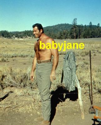 105 CLINT WALKER BARECHESTED OUTDOORS NIGHT OF THE GRIZZLY COLOR PHOTO ...
