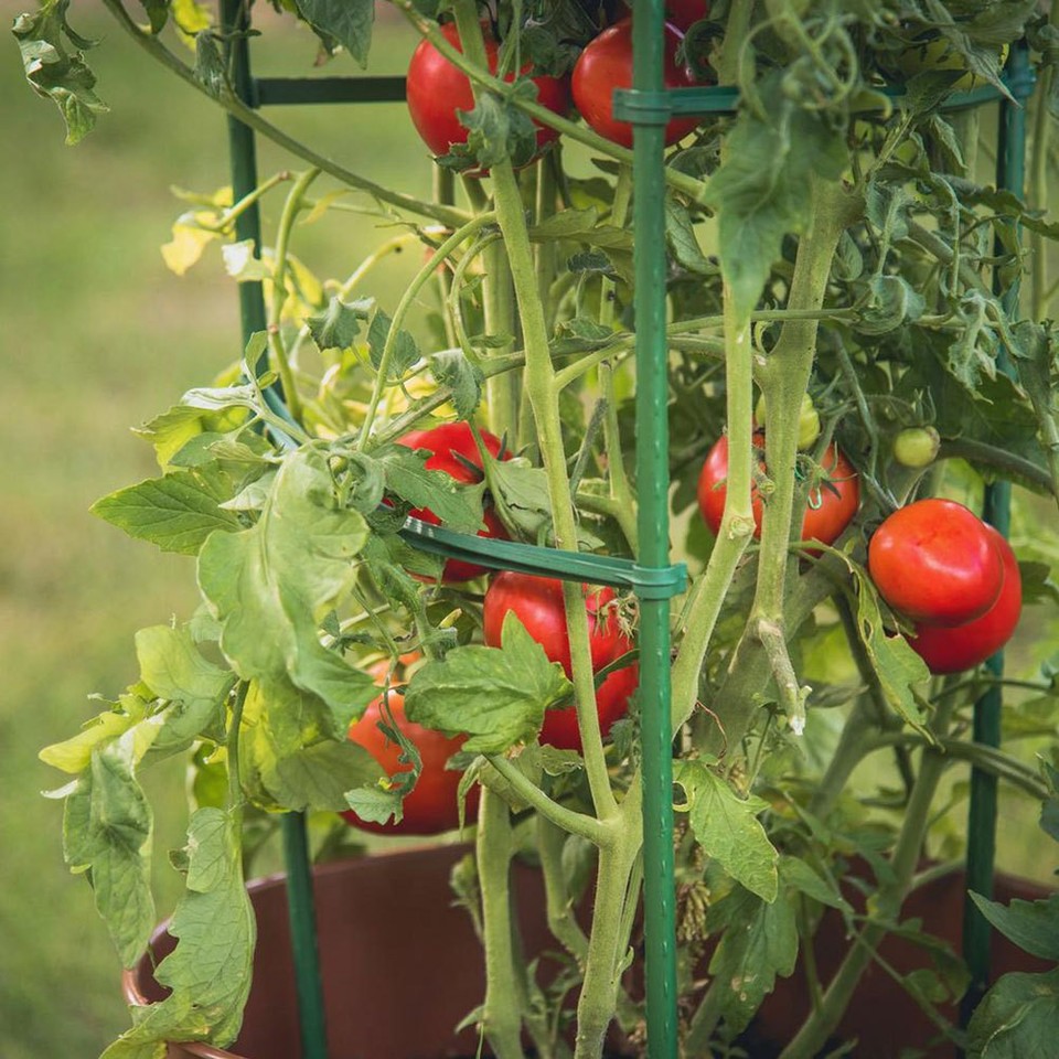 12 Pcs Gardening Tools Plastic Connecting Rod Adjustable Vegetable ...