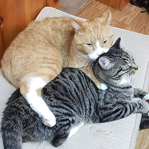 Auntie Manda Sells | eBay Stores