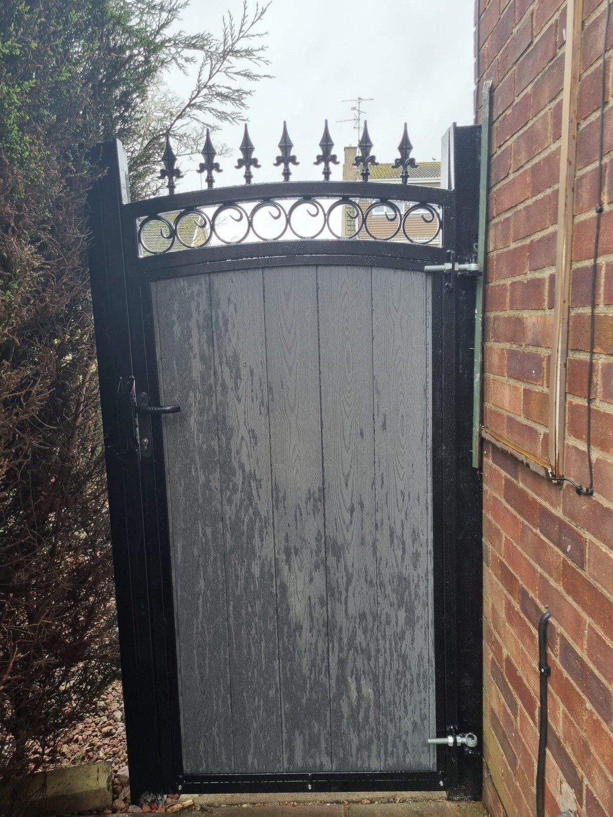 Curved top iron gate with circles - steel- composite Gate - powder ...