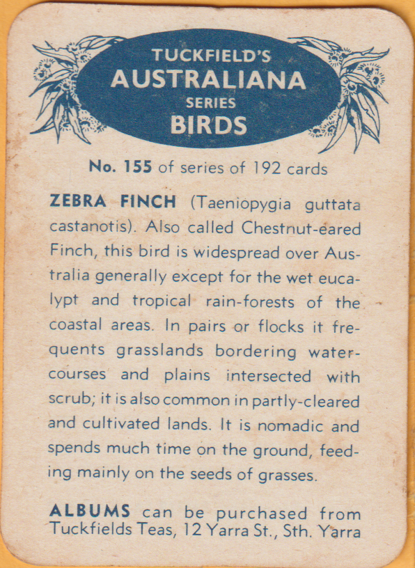 ZEBRA FINCH CARD NO 155 TUCKFIELD'S AUSTRALIANA BIRD SERIES DARK BLUE ...