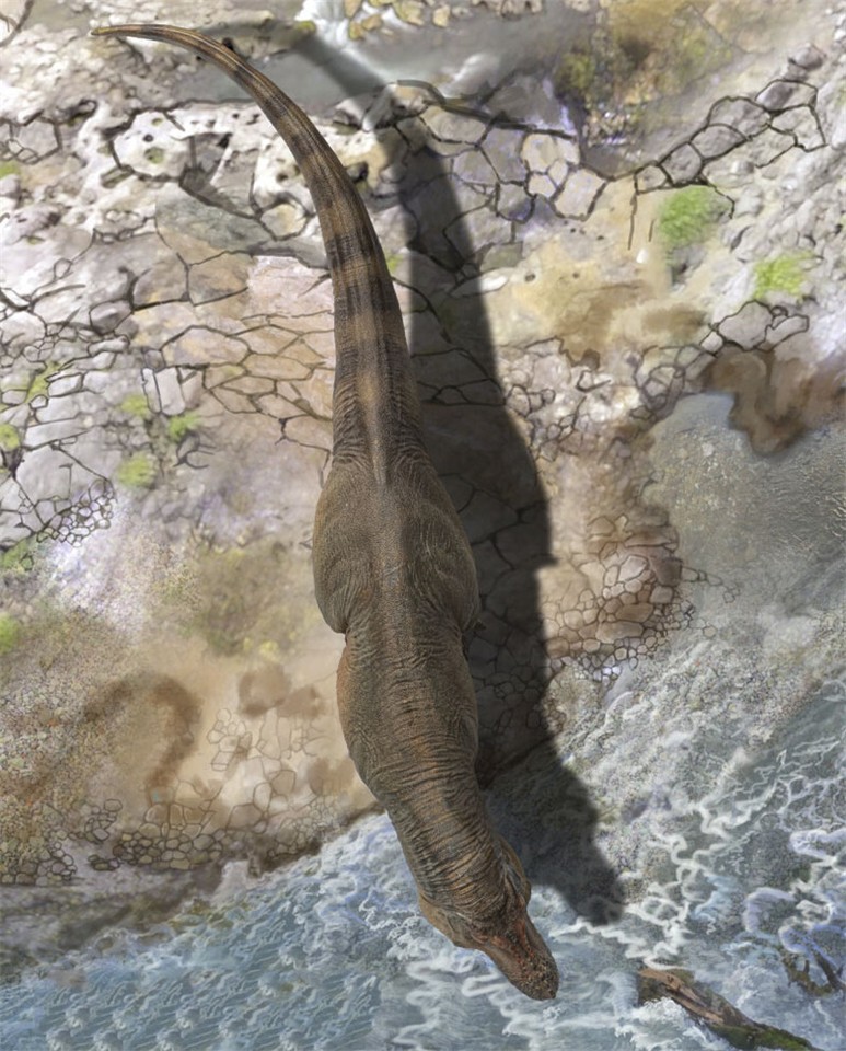 PNSO Zhuchengtyrannus magnus Lu Xiong DINOSAURS SCIENTIFIC ART MODEL | eBay