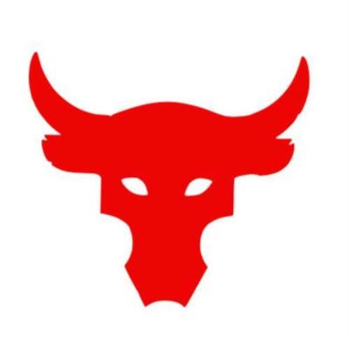 Project Rock Bull -Decal Logo Sticker | eBay