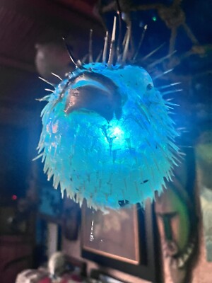 NEW 8” Puffer Fish Lamp w/ C/C Bulb LED Tiki bar Smokin Tikis Oceanic ...