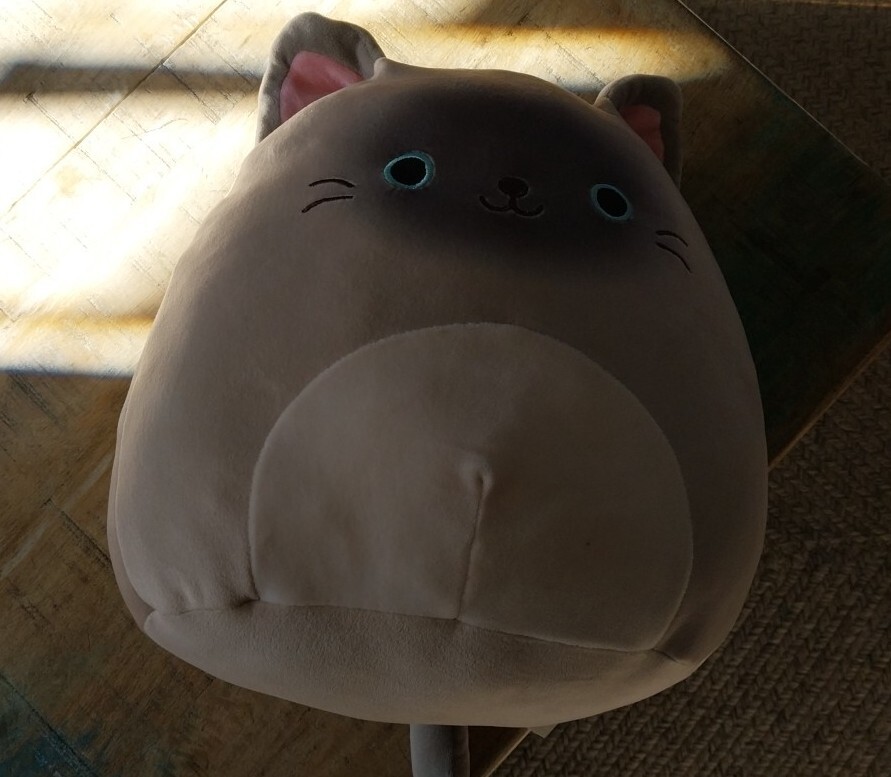 Squishmallows Felton The Siamese Cat 12” Plush Kellytoy 191726477884| eBay