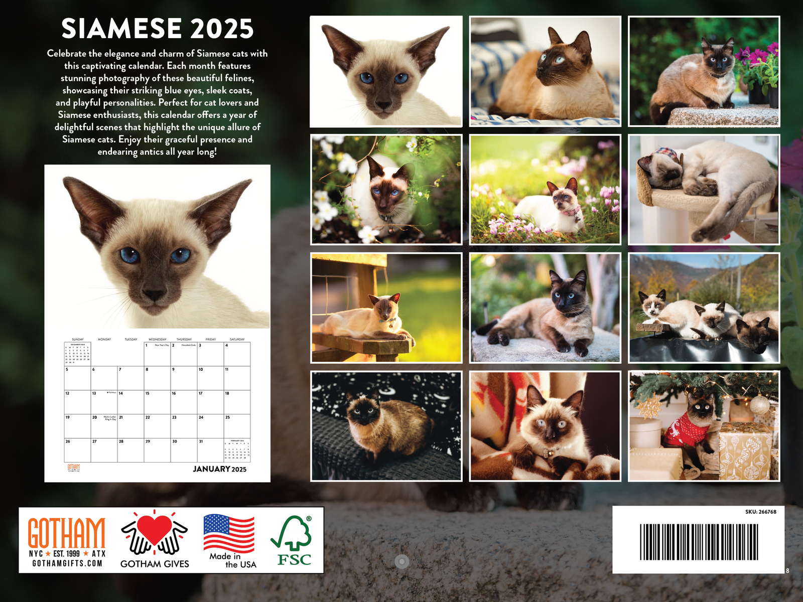 Siamese Cat Calendar 2025 Monthly Wall Calender 12 Month | eBay