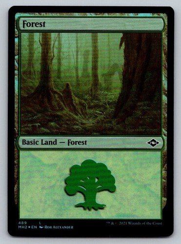 MTG Modern Horizons 2 FOIL NM Forest Basic Land 489 | eBay