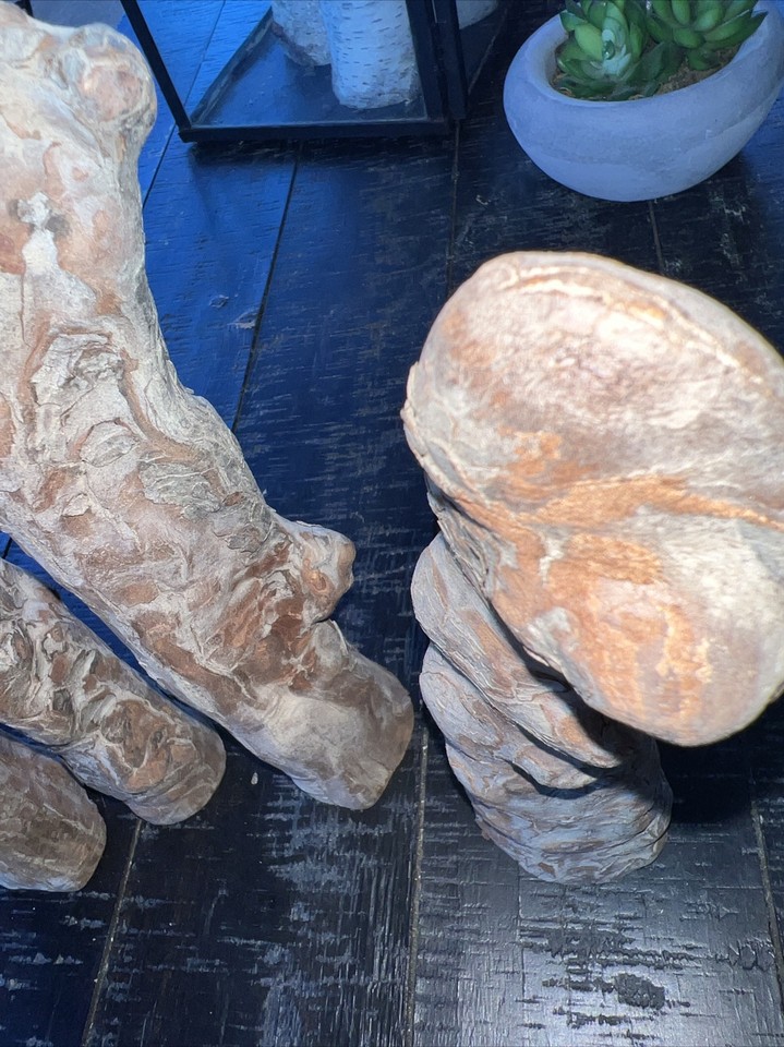 VTG Cyprus Tree Knee Wood Knobs 4 Pcs 9”, 9”, 9.5” and 10”- Mid-Century ...