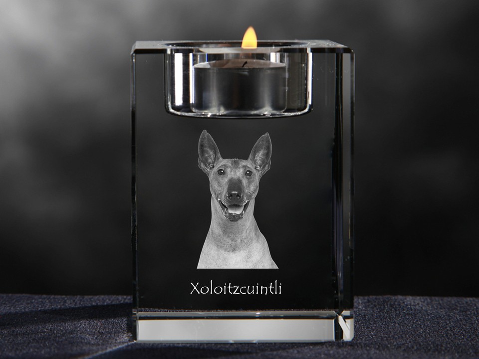 Mexican Hairless Dog, Xoloitzcuintli, Xolo, Tepeizeuintli - Candle ...