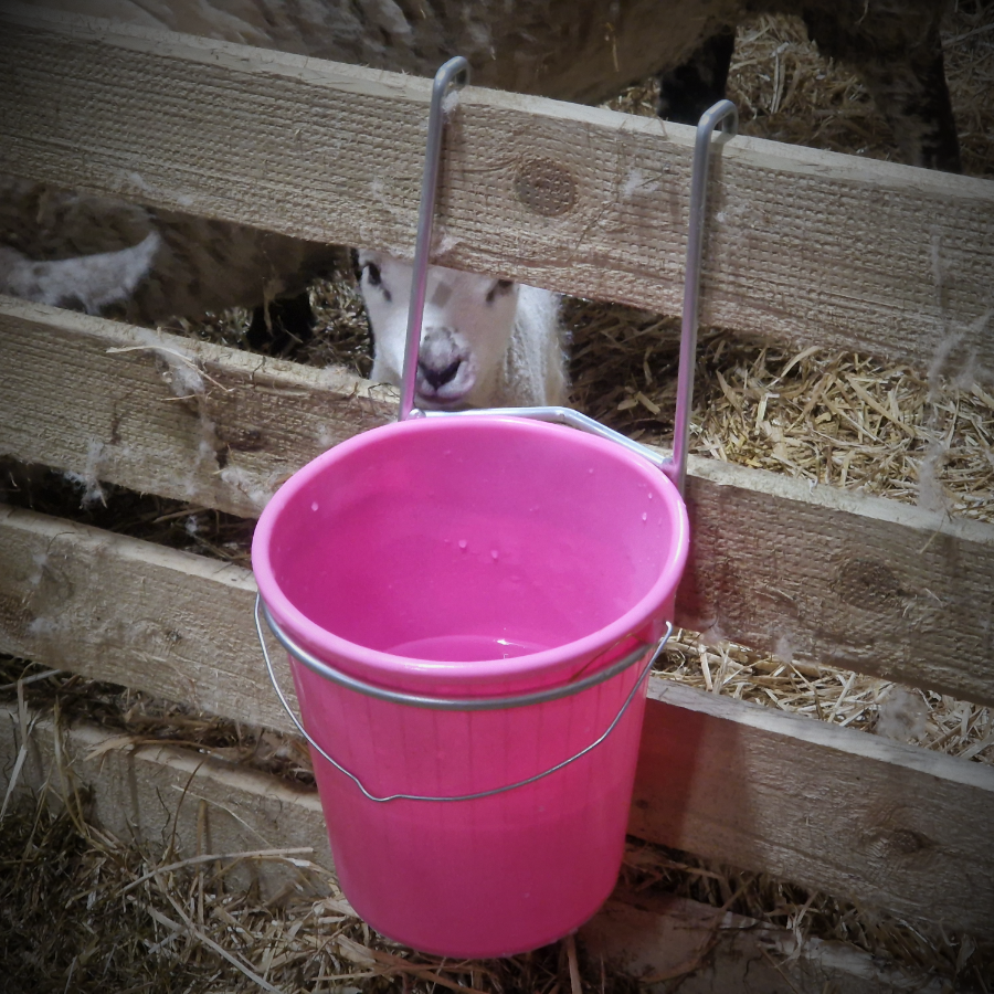 5L Bucket Feeder Hanging Trough Hoof Proof Galvanised Ring Sheep ...