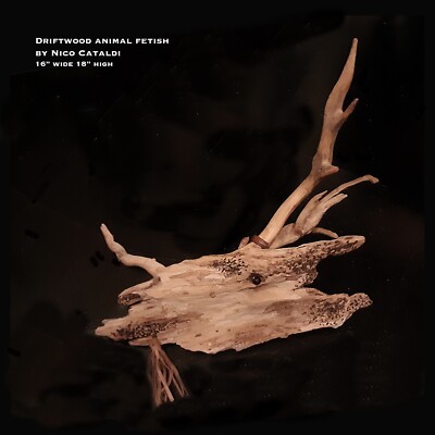 Driftwood Art Sculpture by Nico Cataldi, New York artist - Dominican ...