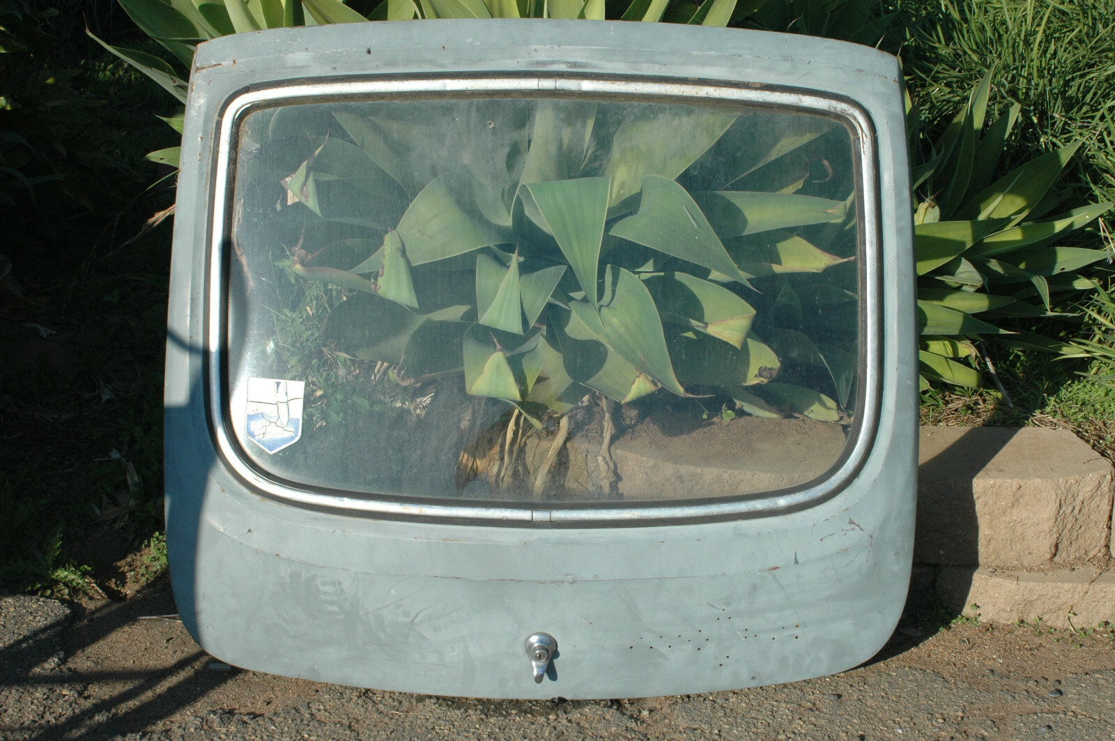 MGB MGBGT REAR HATCH W/ GLASS AND FINISHER ( REAR DOOR, TRUNK LID ) | eBay