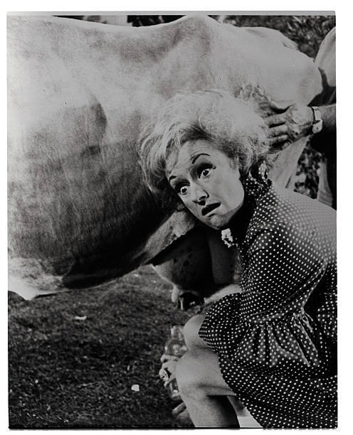 Phyllis Diller on The Pruitts Of Southampton 1966 Old Television Photo ...