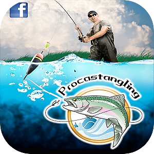 Procastangling | eBay Stores