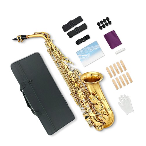 Saxophone SAX Beginners Kit with Case, Mouthpieces Brass nice tone for ...