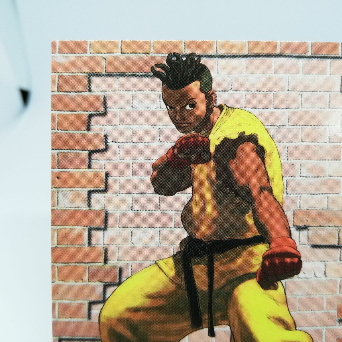 Sean Street Fighter Costume