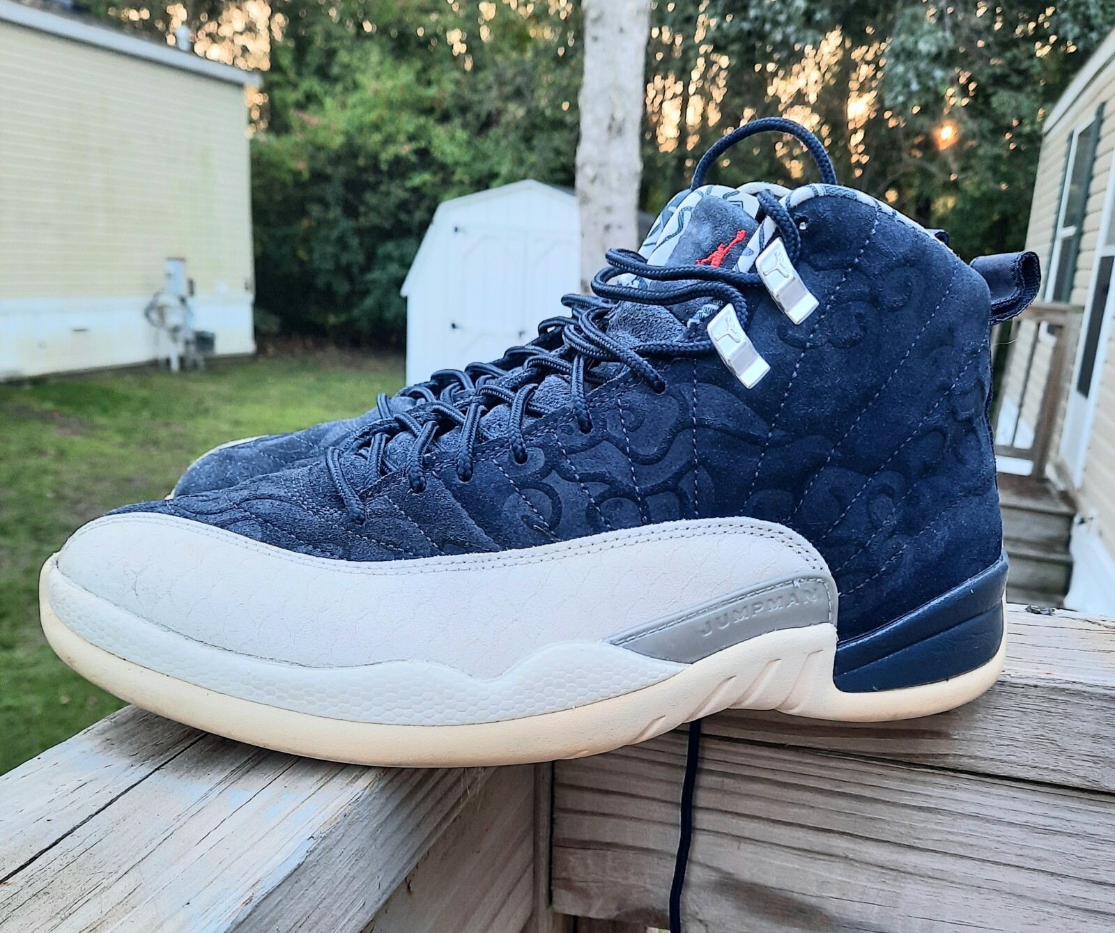 Mens Air Jordan Retro XII, 12, International Flight, … - Gem